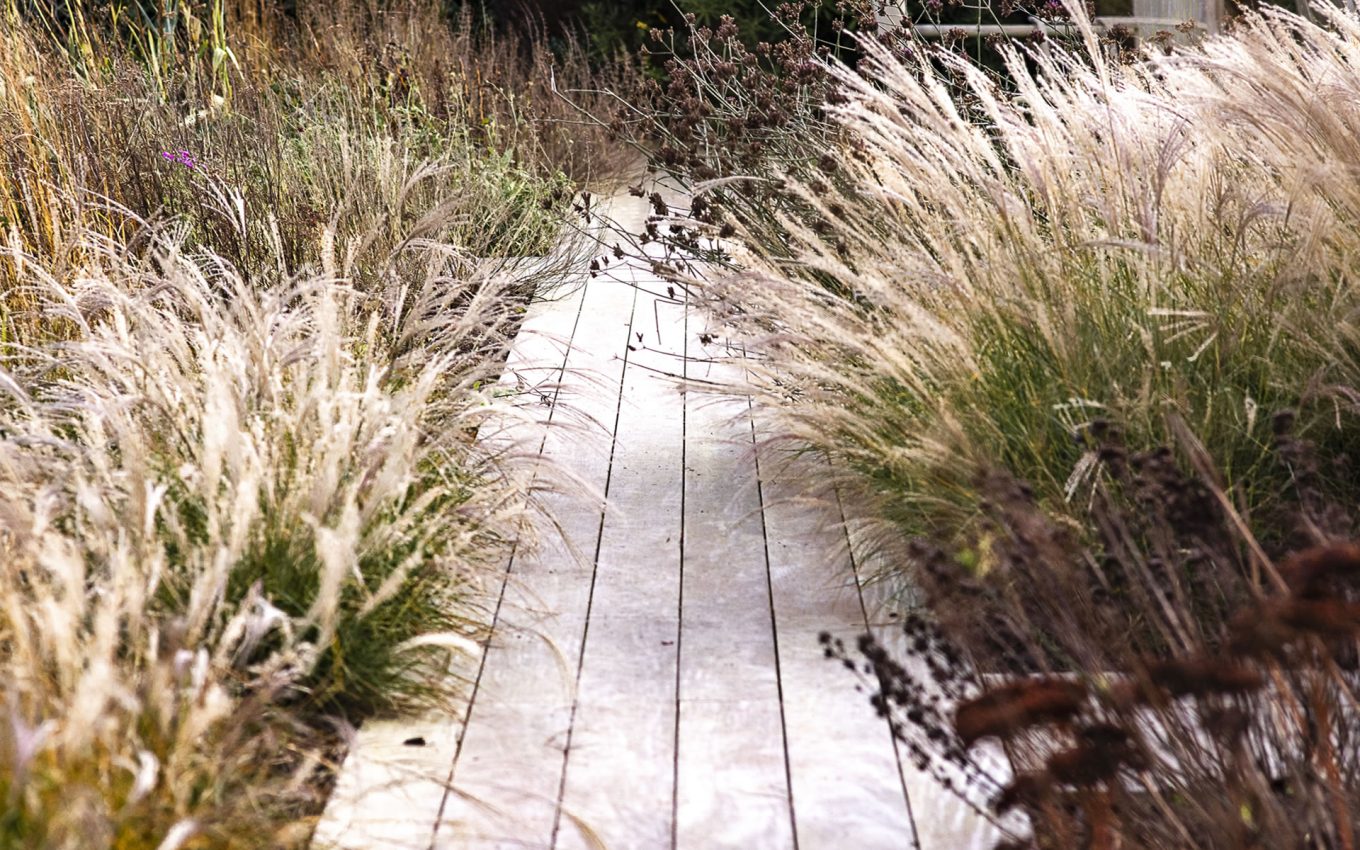 Blog - Graduate Landscapes