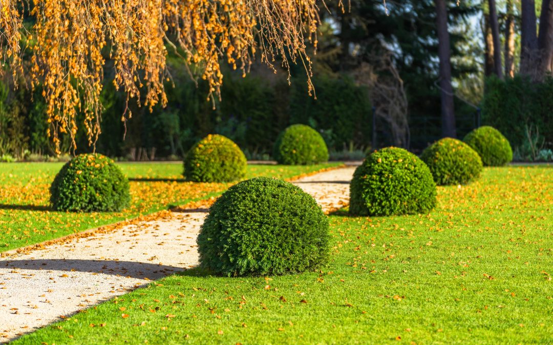 Sevenoaks, Kent, Country Garden | Land Formation